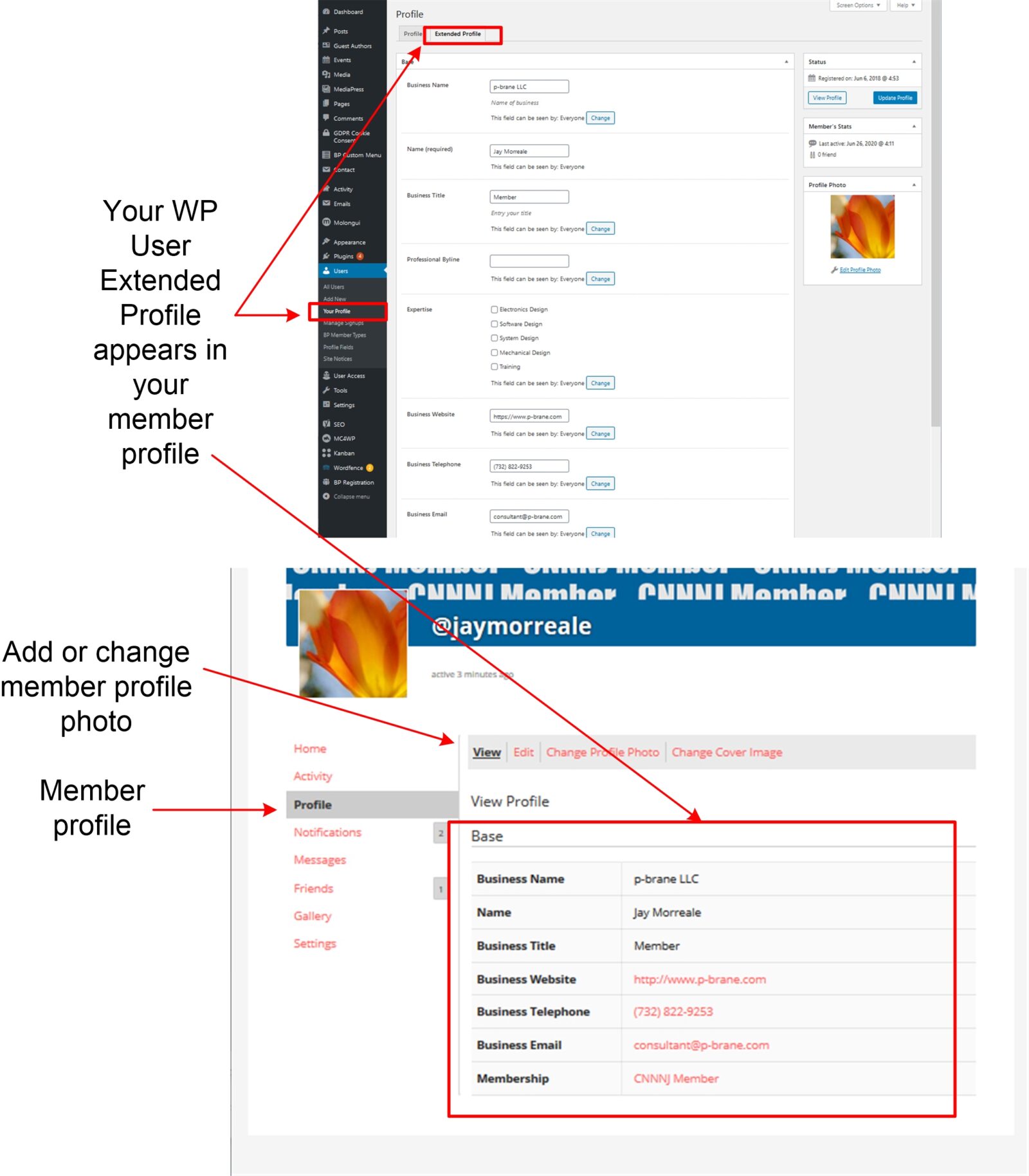 Member and Guest Profile Profile Pages - Consultants' Network of ...