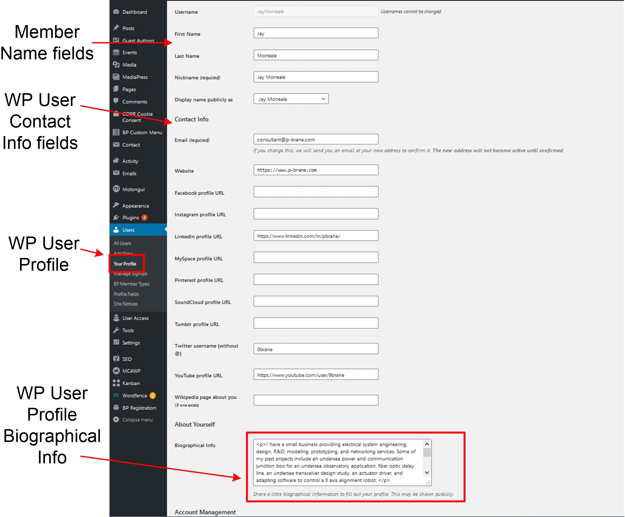 Member and Guest Profile Home Pages - Consultants’ Network of Northern ...